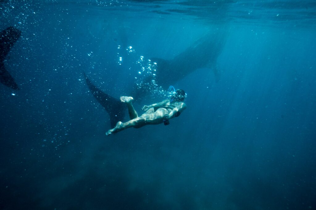 Dive into the Evolution of Shark Movies: From Killers to Complex ...