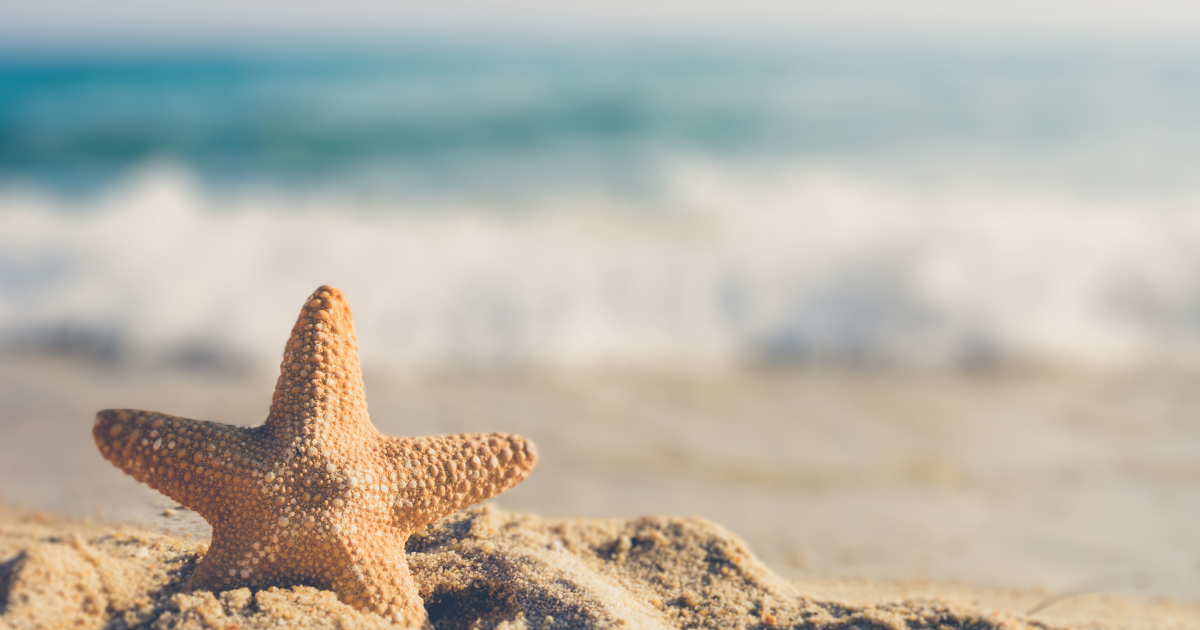10 Most Beautiful Beaches In NorthWest Florida