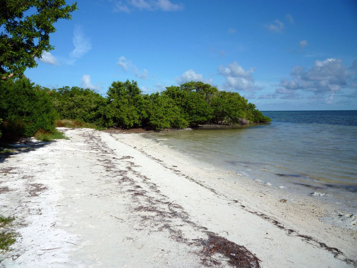 Florida’s Most Underrated Natural Beaches + What to Pack for Each ...